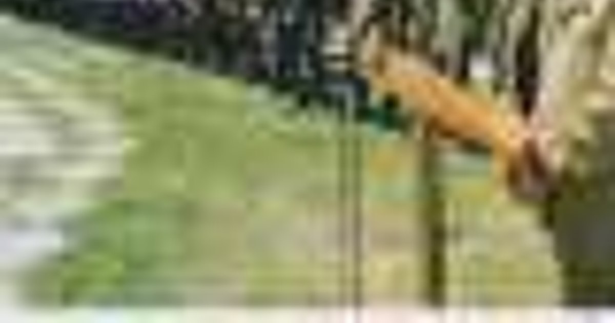 INTERVIU Generalul Mircea Chelaru: „A guverna o ţară este mai mult ...