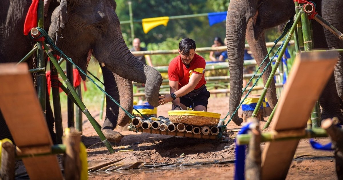 „Asia Express“ a reuşit să depăşească „Exatlon“. Prin ce probe au ...