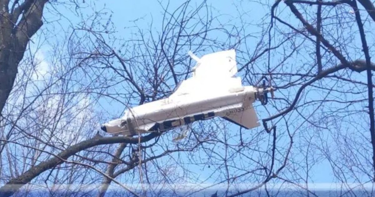 Dronă găsită într-un copac. Un bărbat a alertat autoritățile după ce a ...