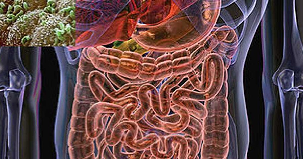 Care sunt simptomele care arată că ai probleme cu flora intestinală şi ...