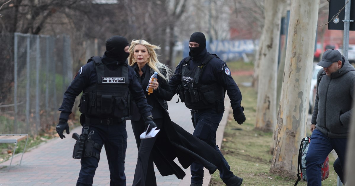 Cine sunt cele 11 persoane reținute în dosarul Nordis, printre care Laura Vicol și Vladimir ...