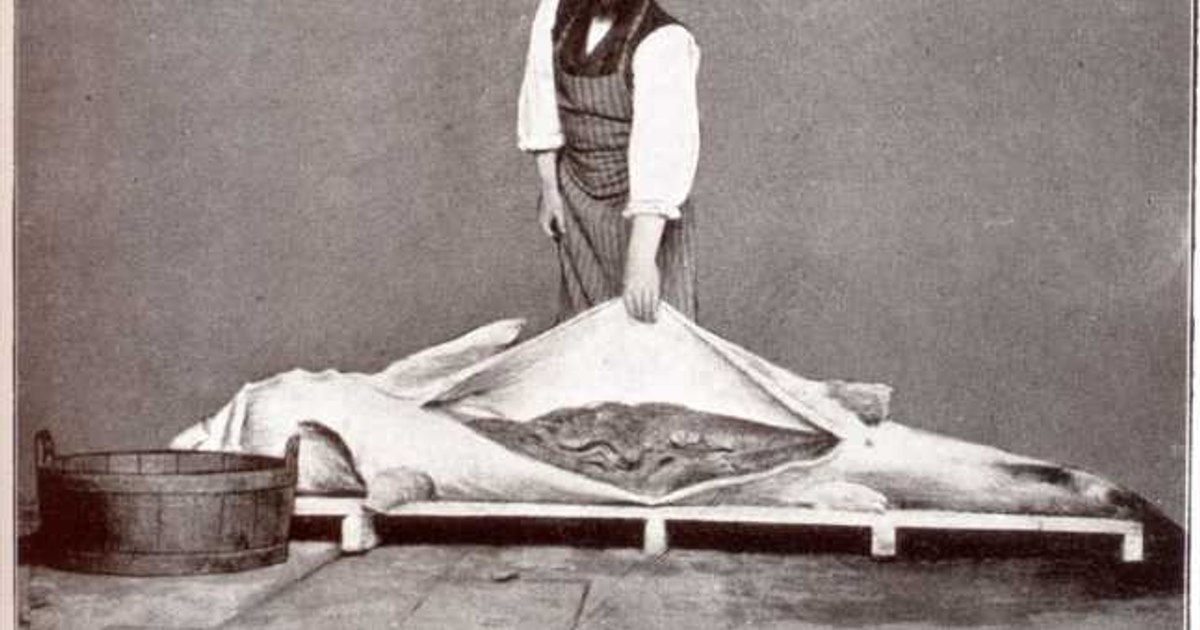 Poveşti cu monstrul Deltei Dunării. Cum mâncau odinioară copiii jumări ...