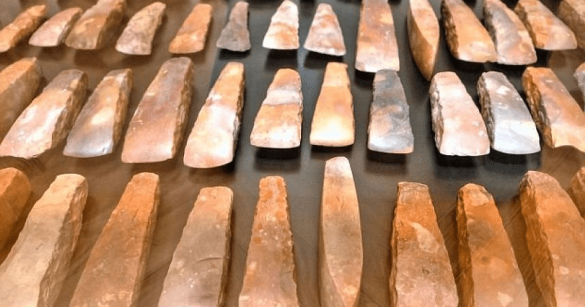 Au fost descoperite cele mai vechi unelte preistorice
