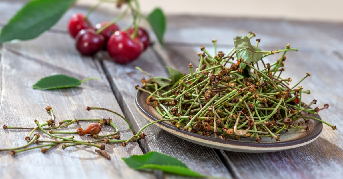 Patru ceaiuri eficiente în tratarea durerii de rinichi