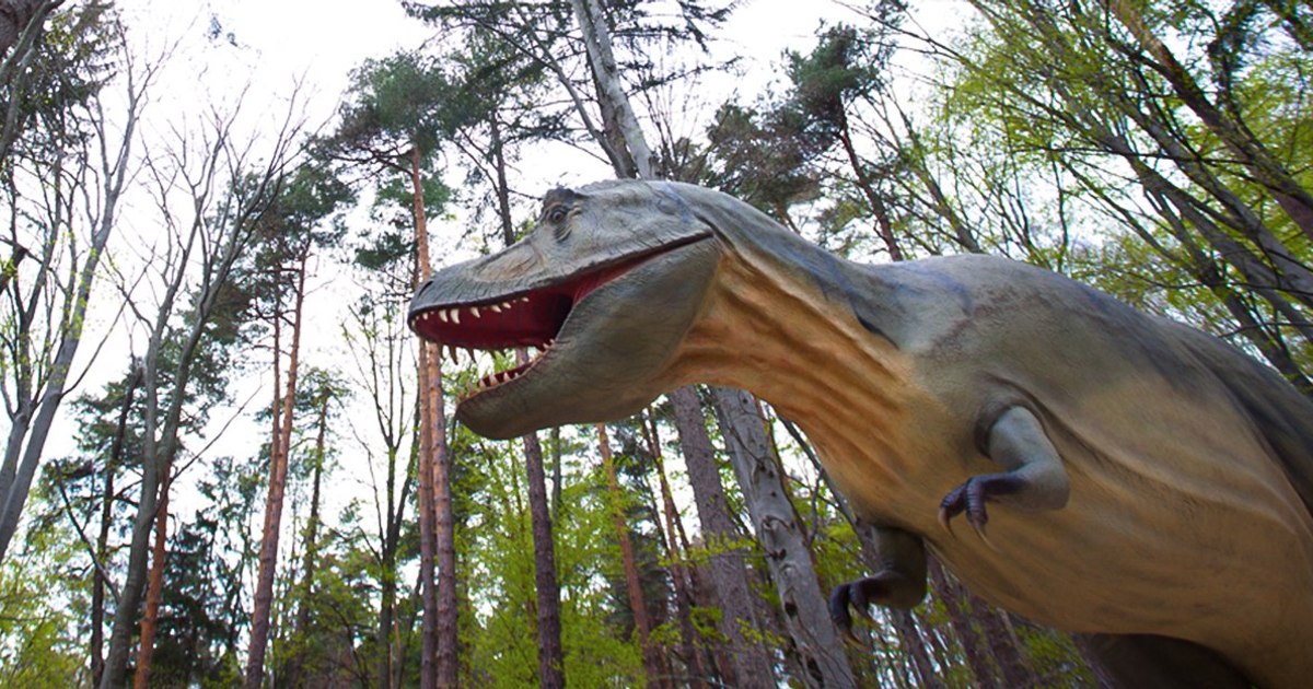 Dino Parc Râșnov a avut aproape o jumătate de milion de vizitatori. Ce ...