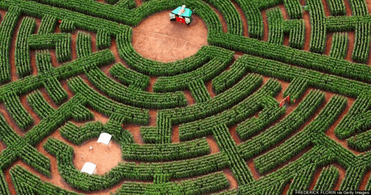 Labirinturi inedite: cele mai frumoase locuri în care să te pierzi