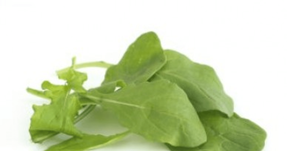 TOT ce TREBUIE să ŞTII despre RUCOLA, planta care te PROTEJEAZĂ ...