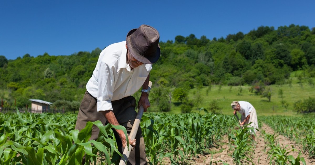 Foștilor agricultori le-a venit rândul la recalculare: după 30 de ani ...