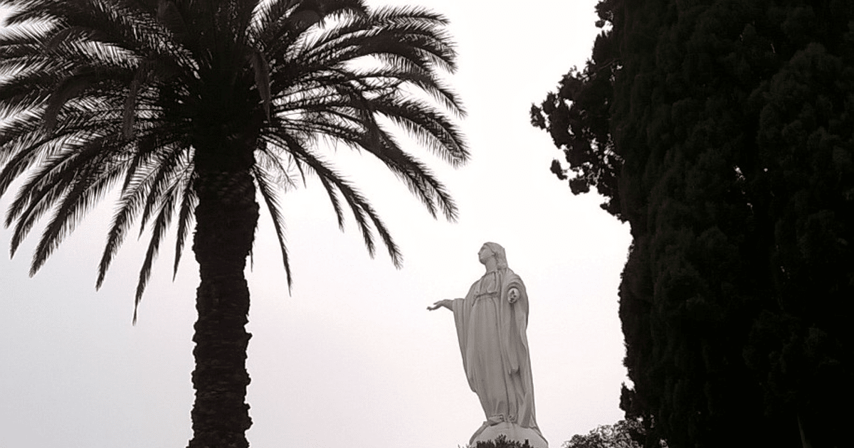 Tango, zoo şi un mall imens