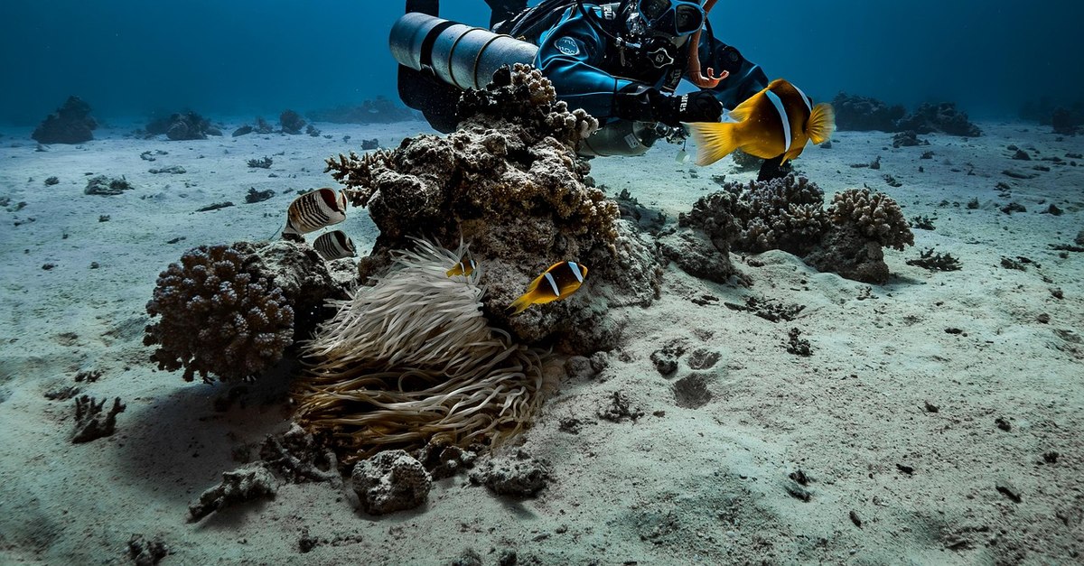 Romanii, pionierii scufundărilor. Cum construiau sub apă acum 2.000 de ...