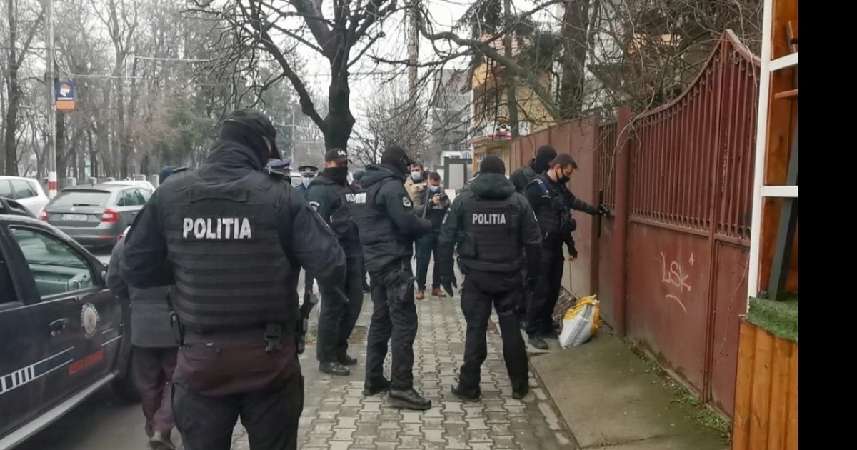 Scenă horror în curtea unei locuinţe din Târgu-Jiu: câini care se ...