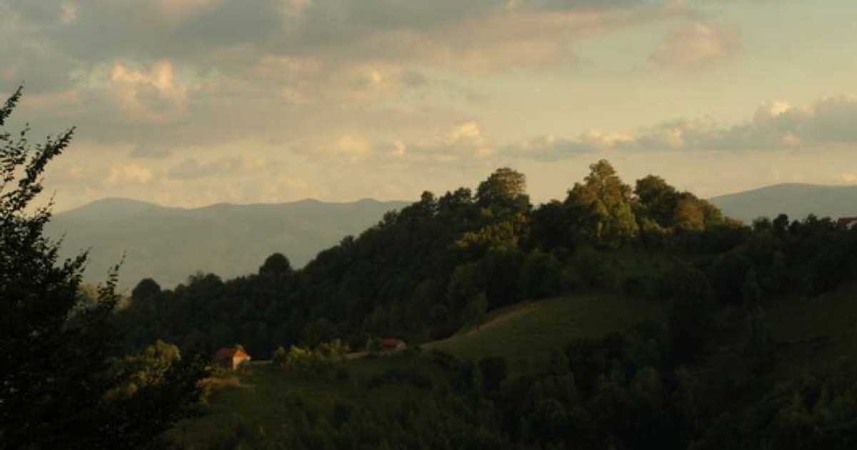 Arme dacice descoperite în munţii Orăştiei de un căutător de comori ...
