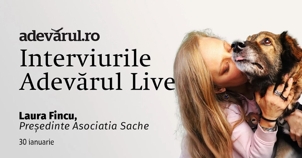 Povestea lui Sache, cățelul care a dat primul spital veterinar social ...