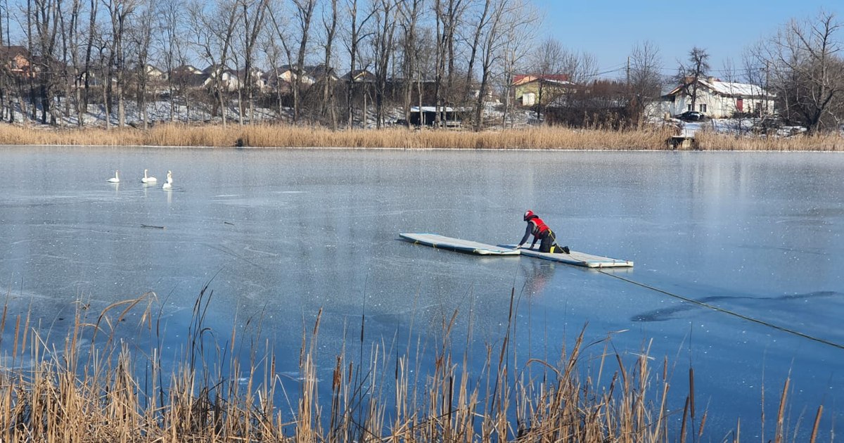 Imagini emoţionante. Lebede înghețate pe un lac, salvate de pompieri ...