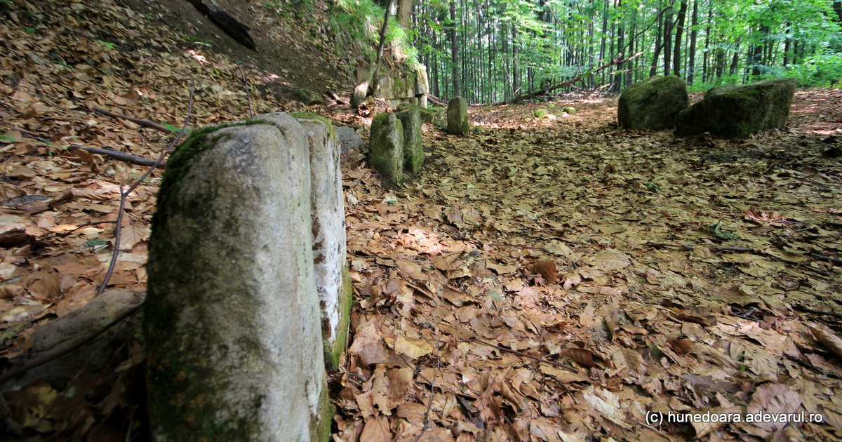 Secretele marilor cetăți dacice, scoase la iveală în goana după ...