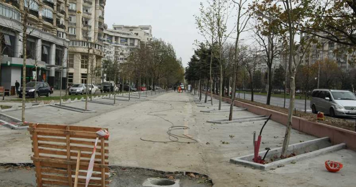 M-am săturat de nerozi! | adevarul.ro