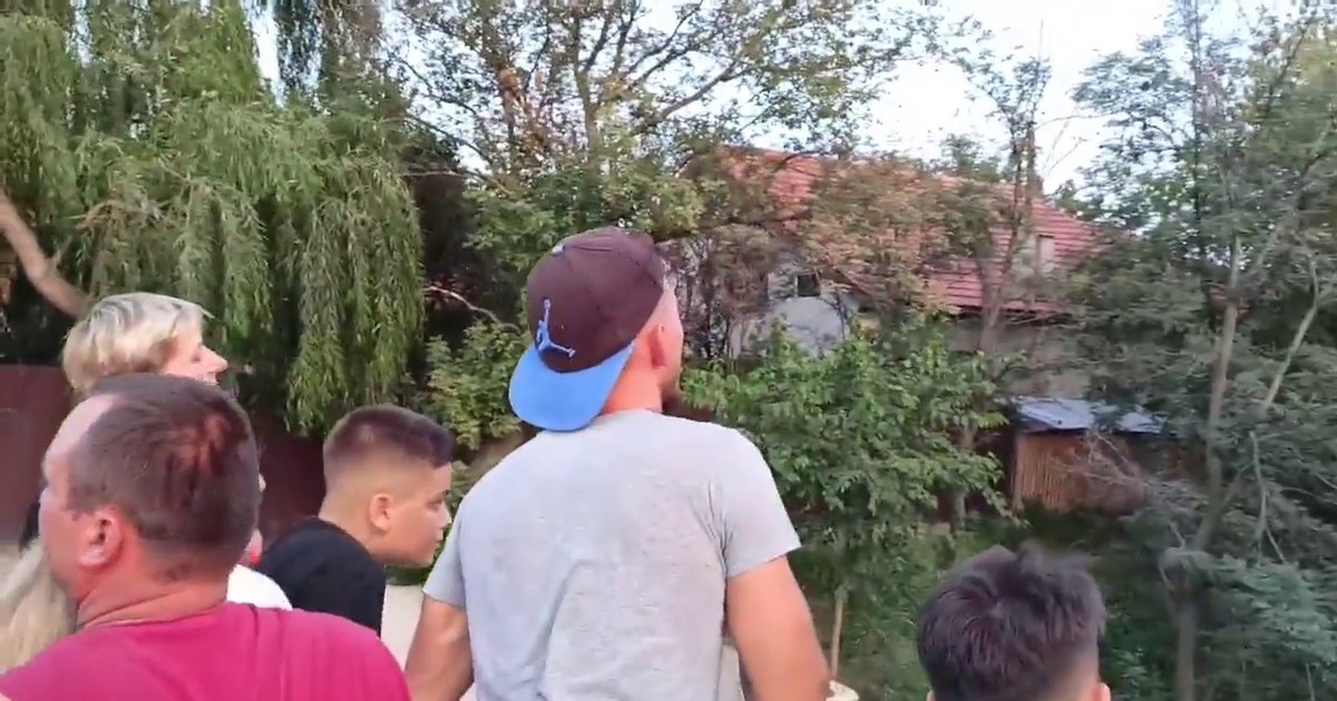 Urs rătăcit într-un sat de lângă orașul Buzău. Localnicii n-au mai ...