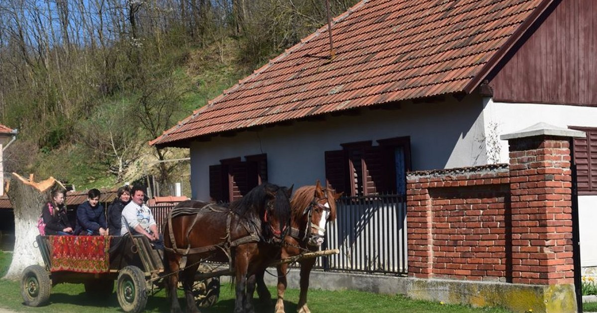 Autostrada învie turismul în comuna Margina. Excursie cu căruţele într ...