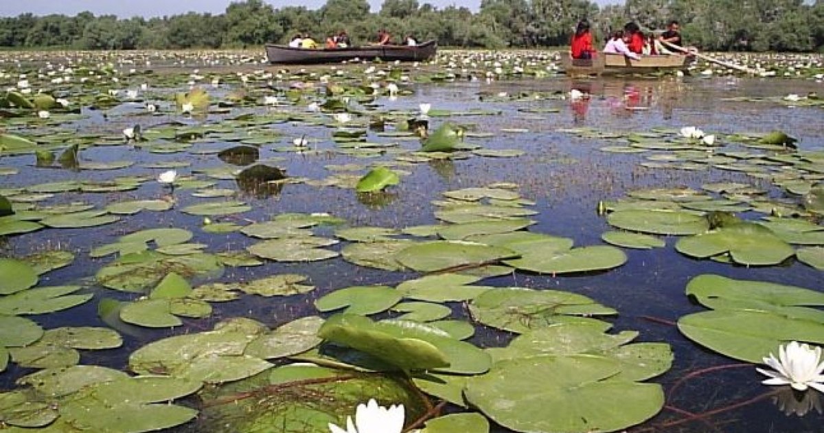 Brăila, pământ "sărutat" de trei ape: Dunărea, care-i dăruieşte mica ...