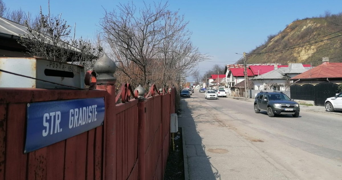 Masacru într-o curte din Slatina. Șapte animale omorâte sub ochii ...