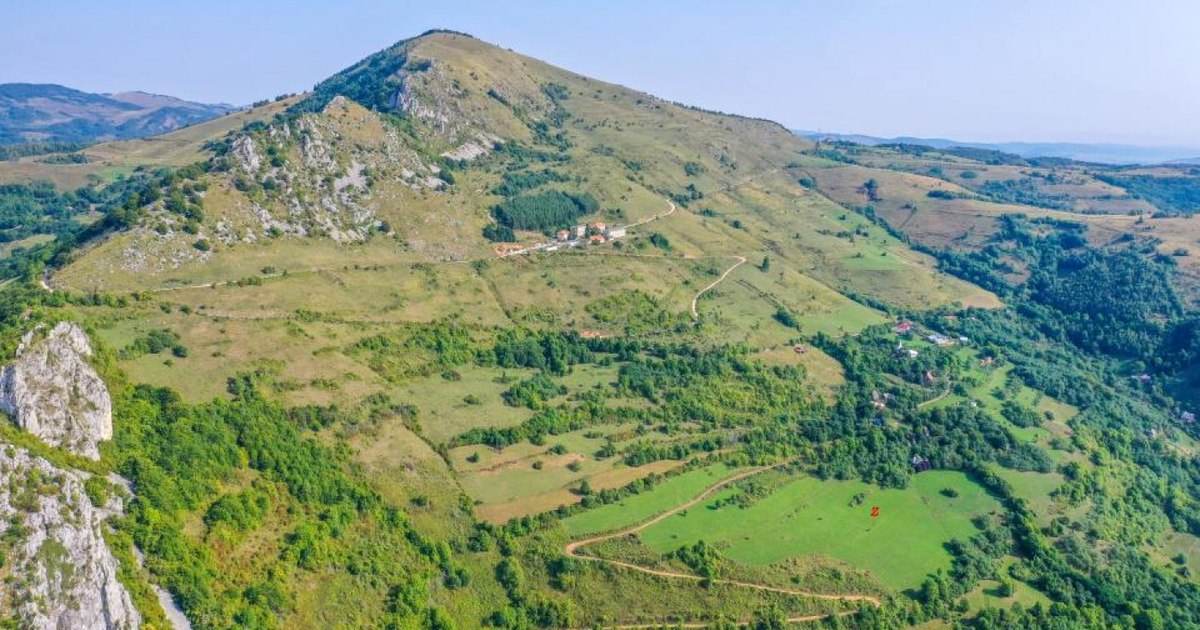 Cinci ofertanți pentru contractul de 25 de milioane de euro ce vizează ...