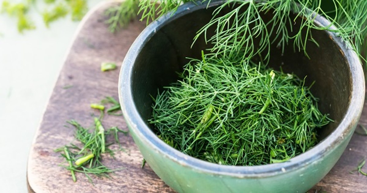 De ce este bine să folosim mărar. Conține vitamine și furnizează din ...