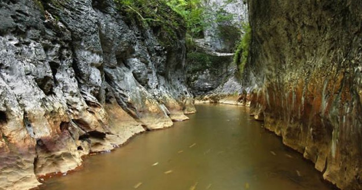 Atracţiile Munţilor Metaliferi. Cheile spectaculoase accesibile facil ...