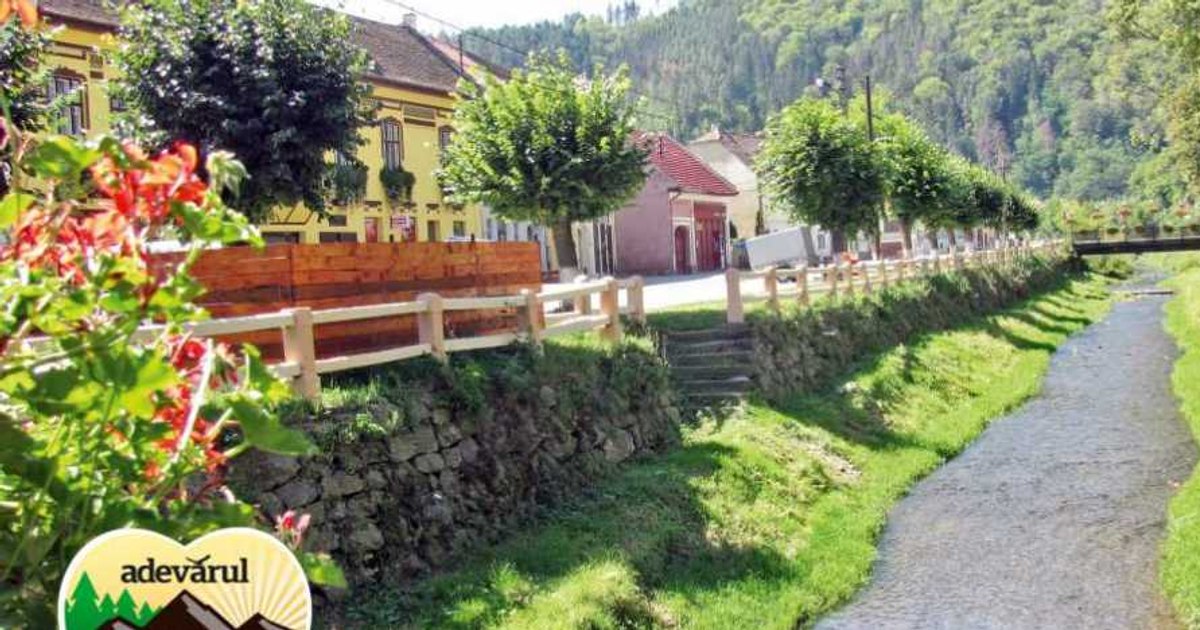 FOTO „All inclusive“ în curtea bunicii din Mărginimea Sibiului ...