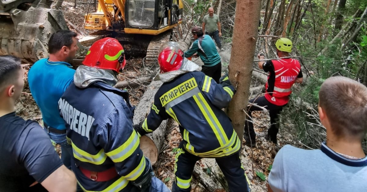 Patronul unei firme de exploatare forestieră, vinovat de moartea unui ...