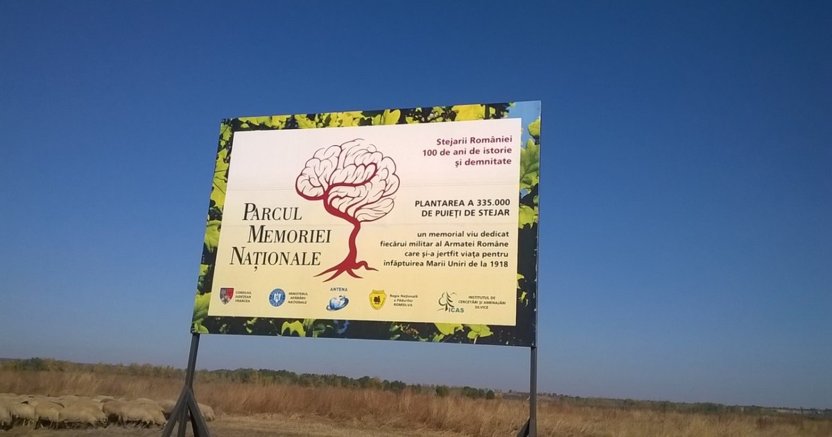 FOTO Cum s-au uscat peste 100.000 de stejari sădiţi în memoria eroilor ...