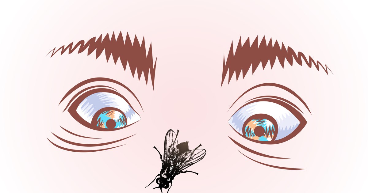 Test de cultură generală: Cu musca pe căciulă | adevarul.ro