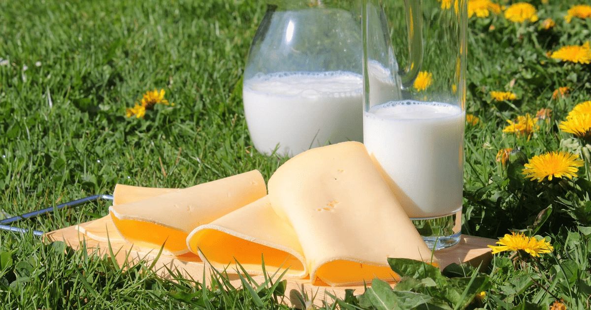 De ce să consumi produse lactate bio? Iată care sunt cele mai ...