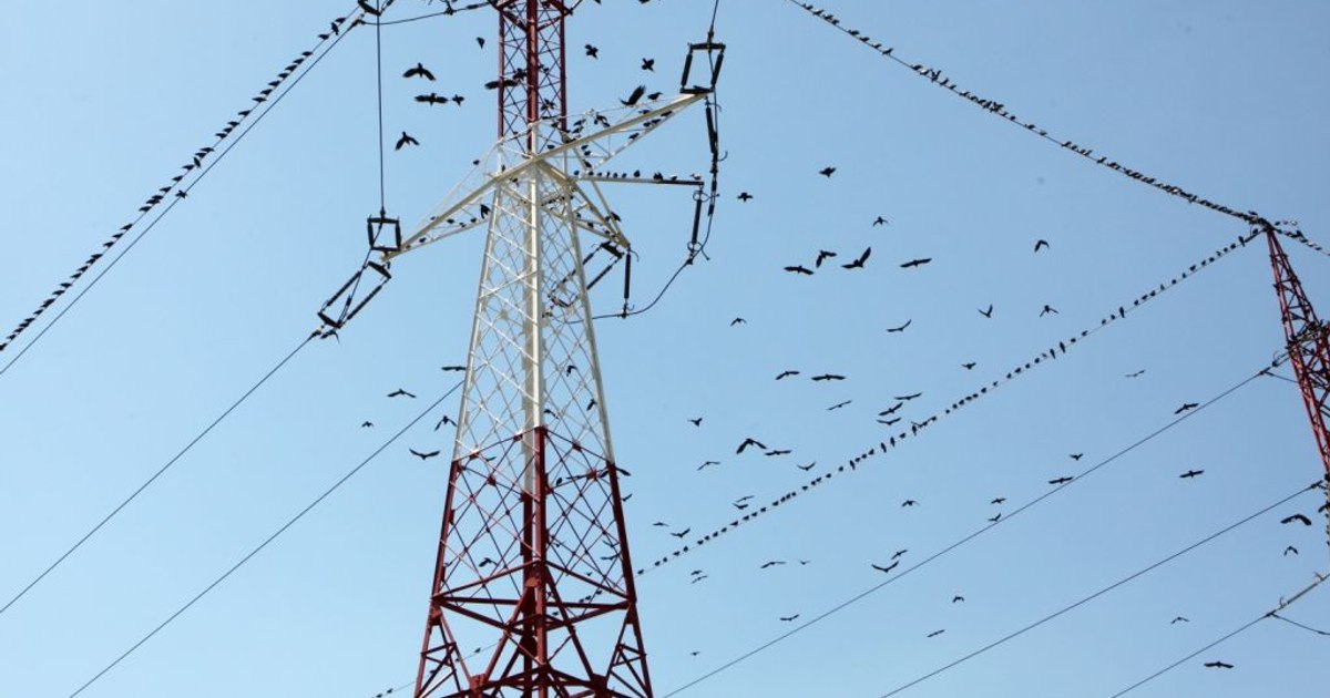 Olandezii raționalizează electricitatea: infrastructura energetică a ...