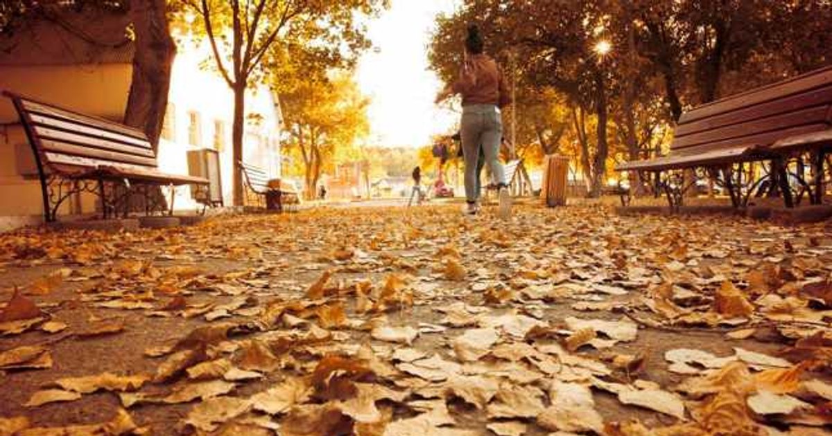 Vremea începe să se răcească. Cât scad temperaturile și unde va fi cel ...