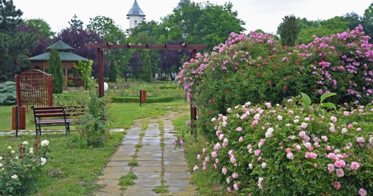 Grădina Botanică şi ZOO Gârboavele sunt deschise pentru public de ...