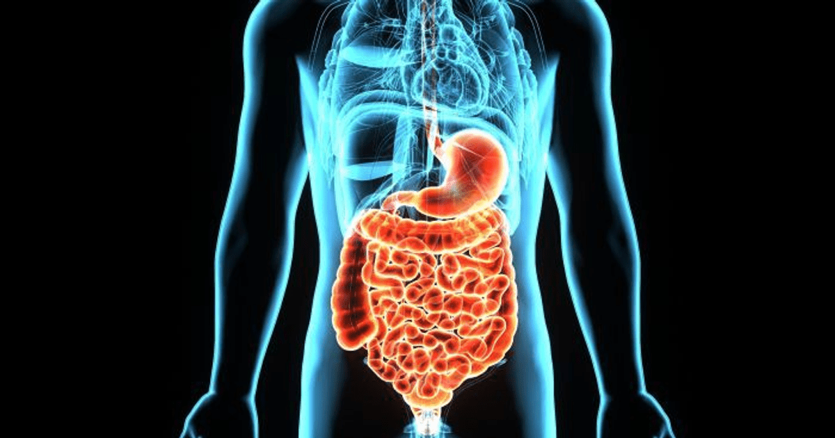 Peste 70.000 de virusuri necunoscute identificate în microbiomul din ...