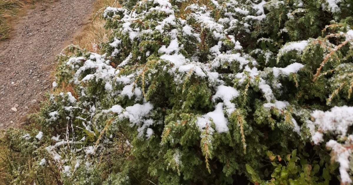 Zăpadă la munte. În Pasul Rotunda, la 1.200 metri altitudine este ...