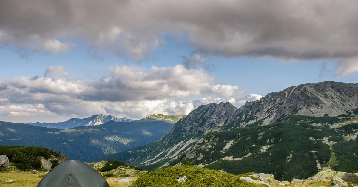 Un animal rar, de o frumusețe răpitoare, surprins în Parcul Naţional ...