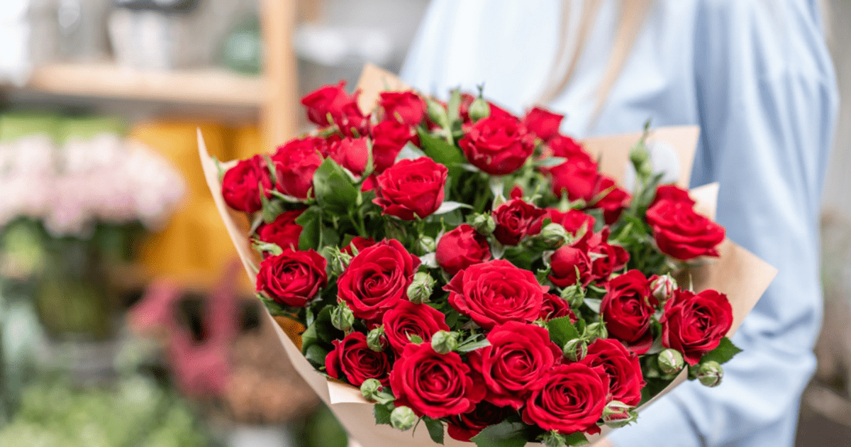 Semnificația trandafirilor în funcție de culoare. Când se oferă ...