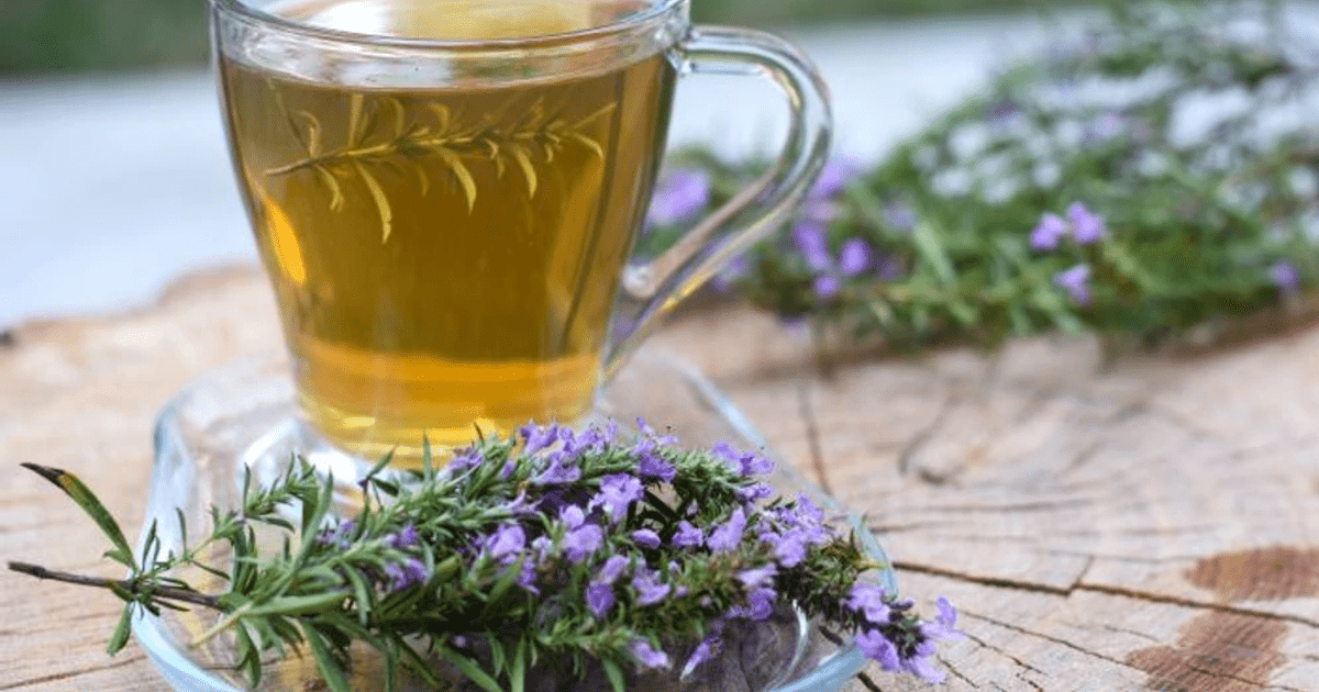 Plante care curăţă plămânii şi te ajută să respiri mai bine
