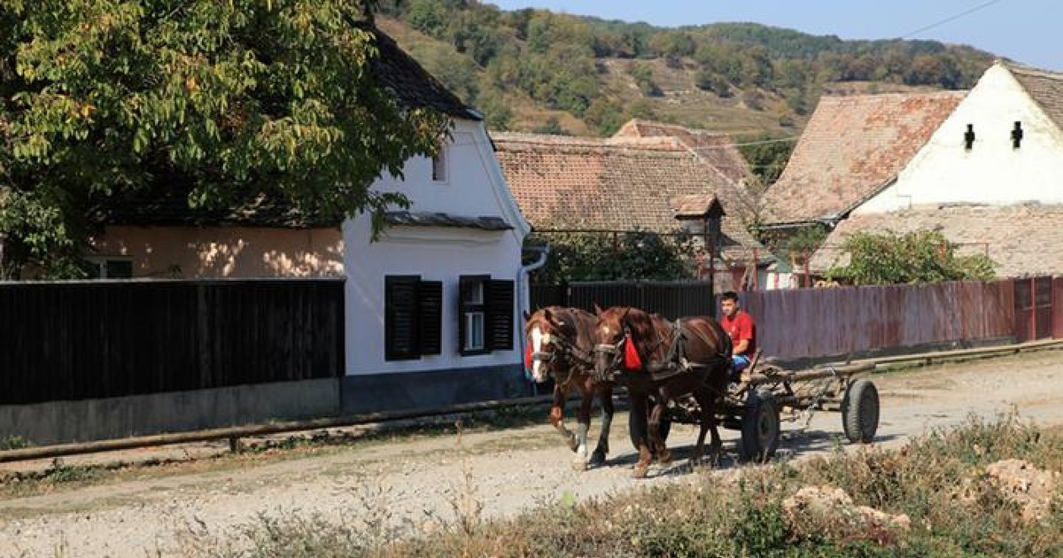 Alba-neagra cu bursele sociale pentru elevi | adevarul.ro