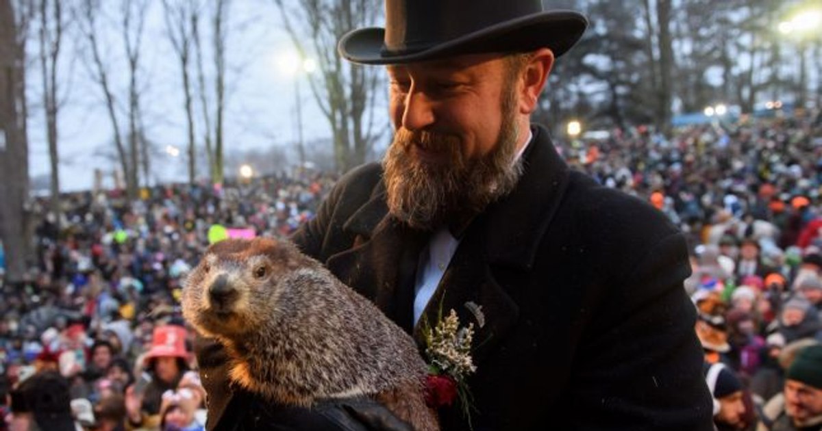 Marmota Phil a prezis o primăvară timpurie | VIDEO | adevarul.ro