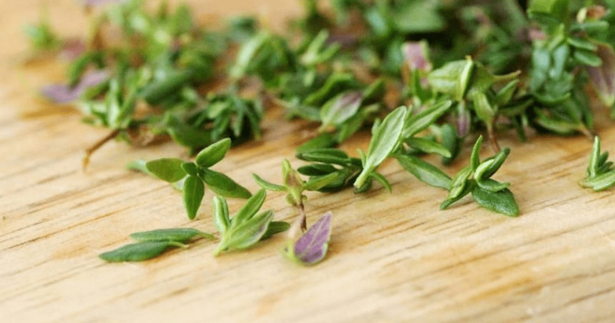 Cimbrul, planta favorită a Europei