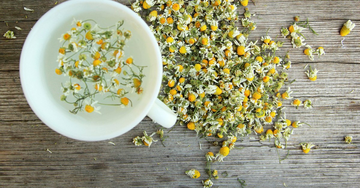 Ceaiul ce alină bolile stomacului. Are efecte carminative, uşor ...