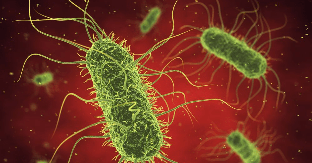 Ce tipuri de bacterii se găsesc pe bani. Unele dintre ele sunt foarte ...