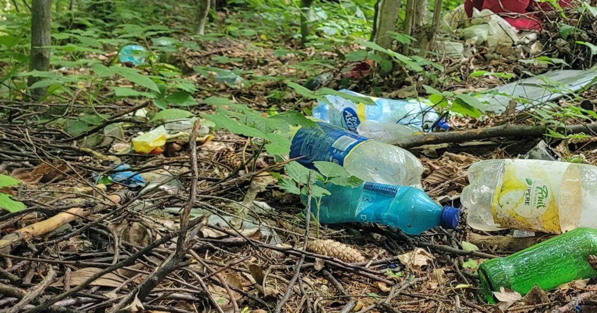 Plasticul din natură au devenit o problemă majoră în România. 40% din ...