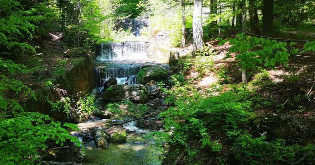 „Poteca Regală” din Valea Prahovei unde canicula devine „poveste ...