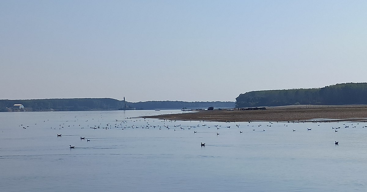 Trafic dificil pe Dunăre. Un bac a rămas blocat într-o dună de nisip la ...