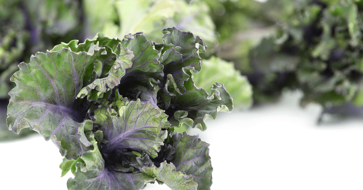 Ce este kalettes, noua legumă care se cultivă în România?