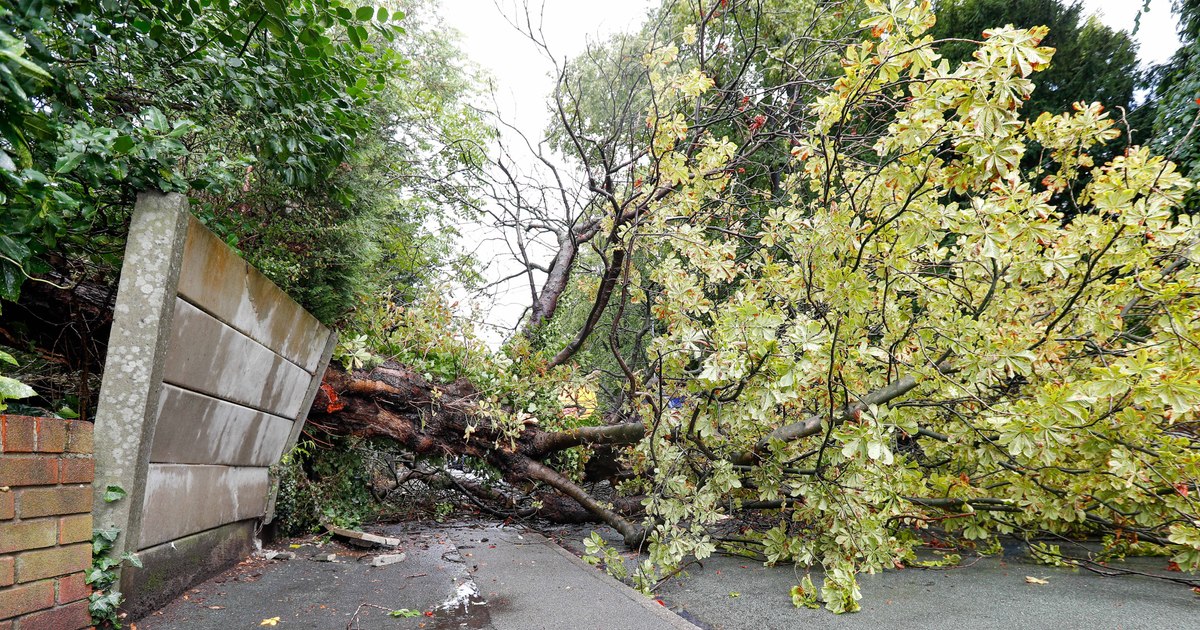 Furtuna Zack lovește Europa Centrală și de Vest. Rafalele pot depăși ...